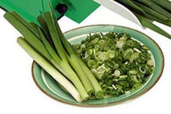Green Onion Slicer round cut Electric Eden Restaurant Supply